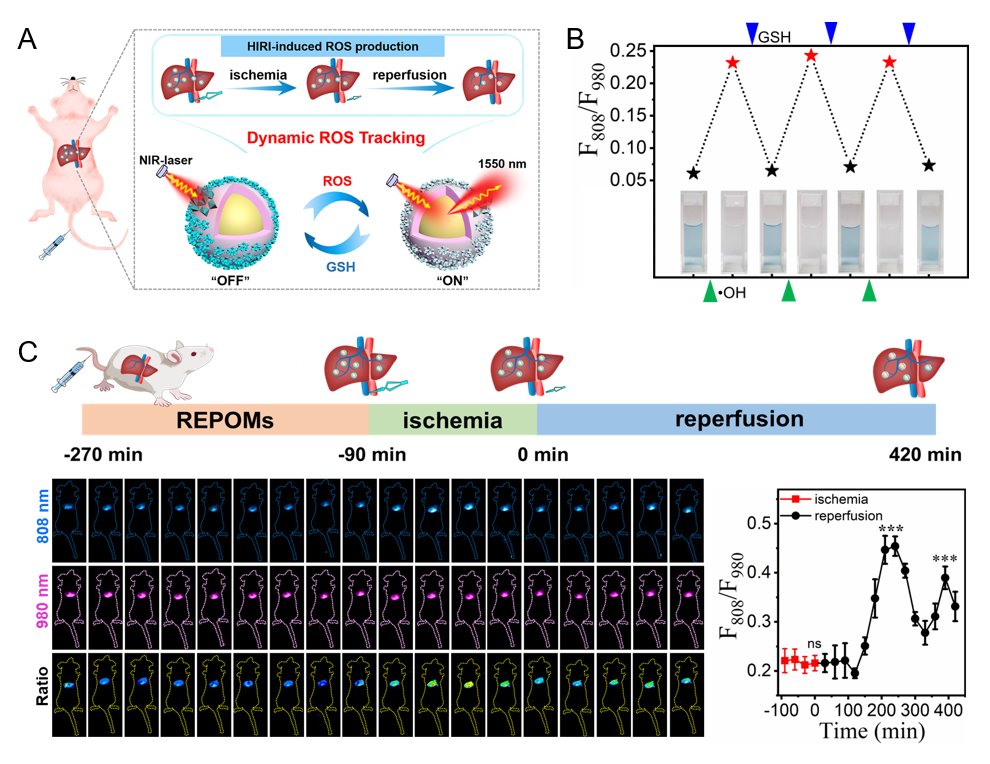 健康科学与工程学院